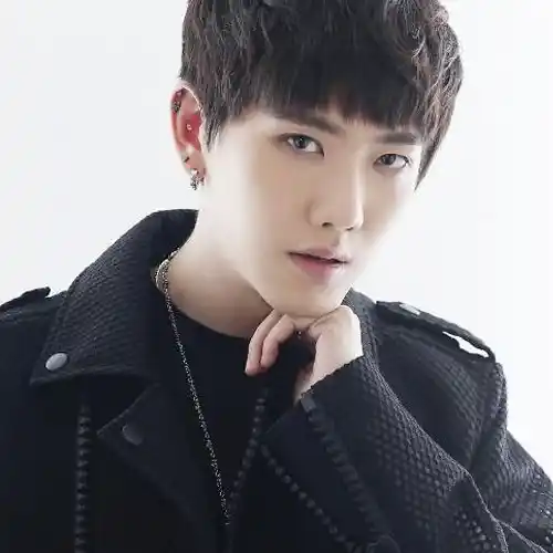 VAV 会员资料（已更新！） - 韩流男团